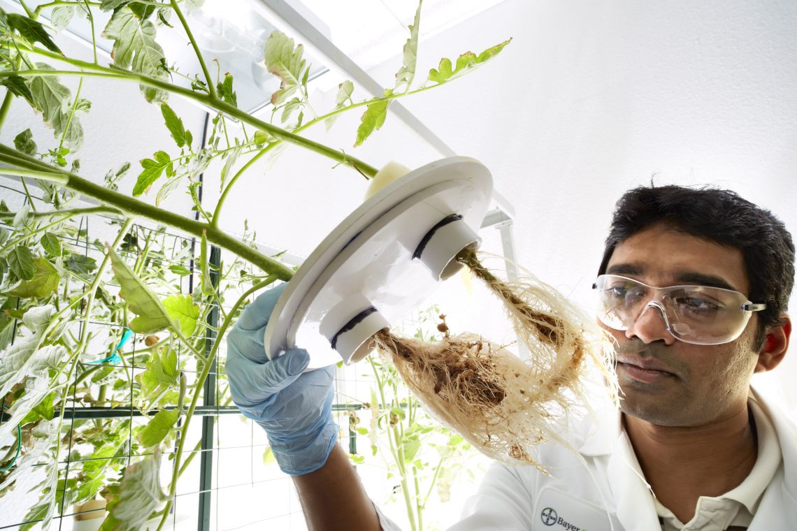 Bayer CropScience Celebrates Agriculture Literacy Week